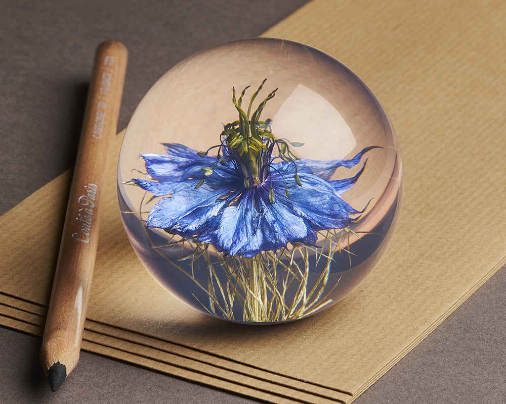 Still Life | Sam Barnes Photography