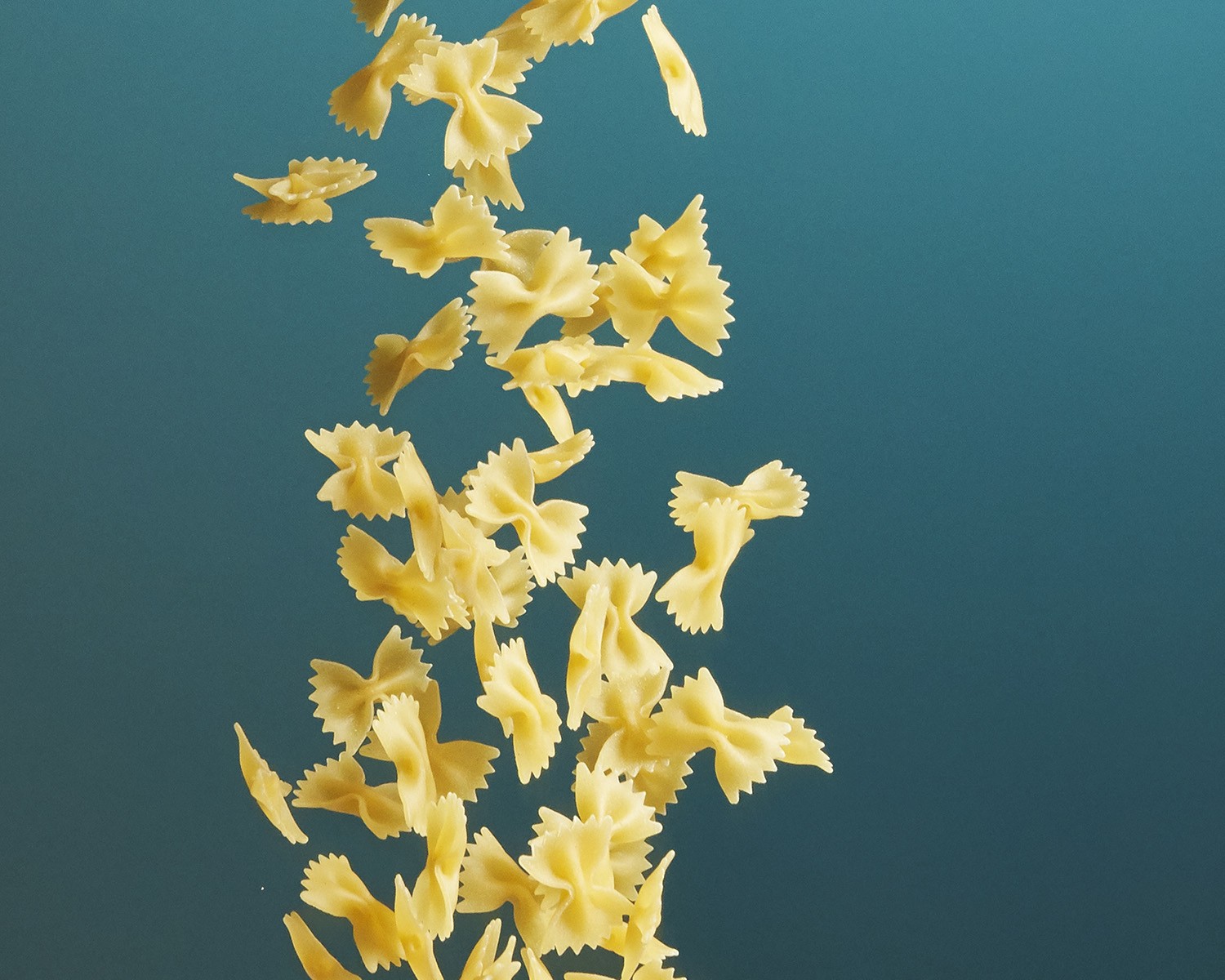 Still Life | Sam Barnes Photography